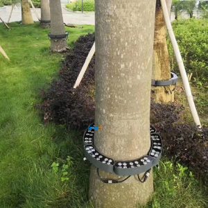72W Surround Hug Commercial Tree Lights - Upward Lighting: Outdoor ...