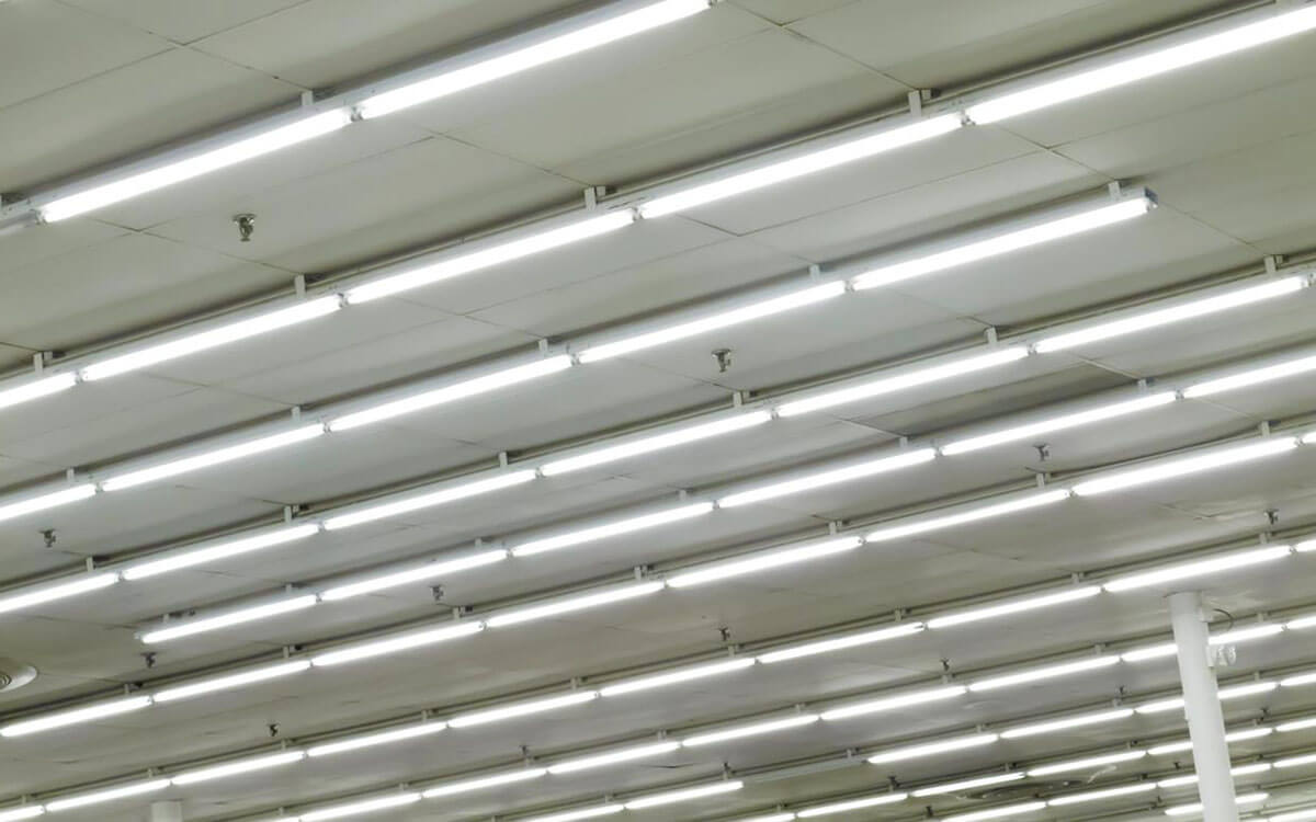 Warehouse Lighting: The Definitive Guide