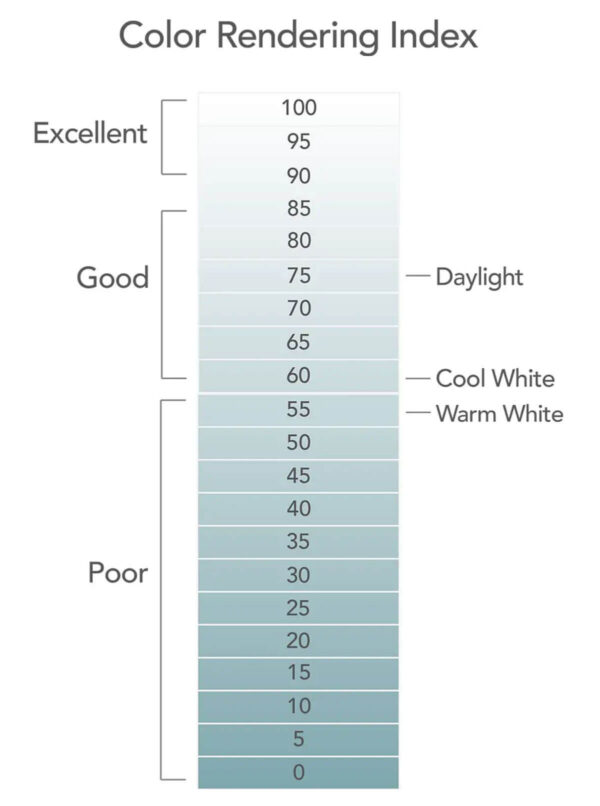 Why CRI is Important: The Definitive Guide
