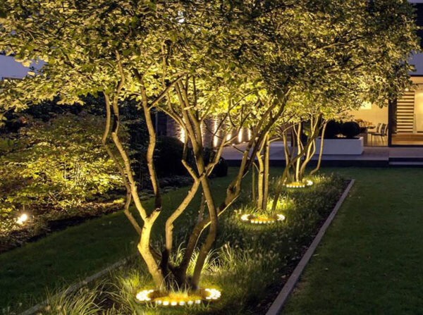 How to Choose LED Uplighting for Tree