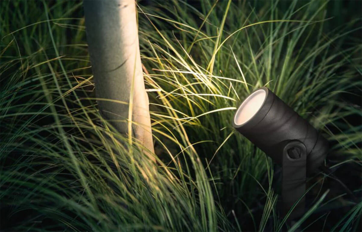 How to Choose LED Uplighting for Tree