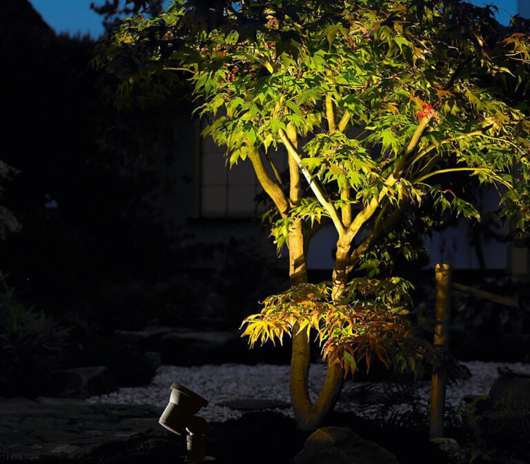 How to Choose LED Uplighting for Tree