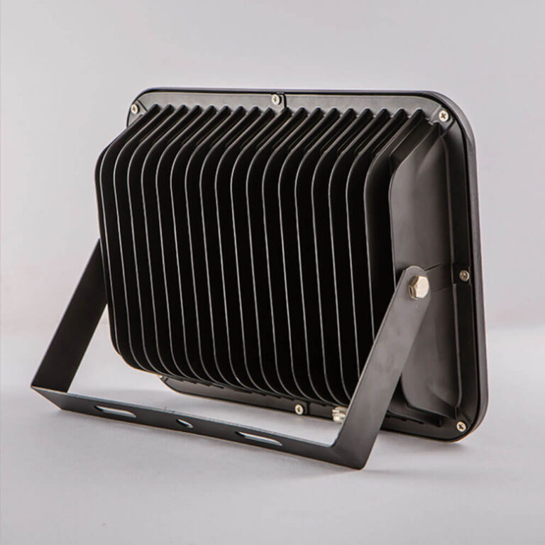 100 Watt Flood Light