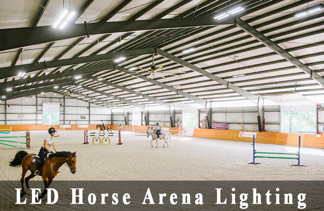 LED Horse Arena Lighting