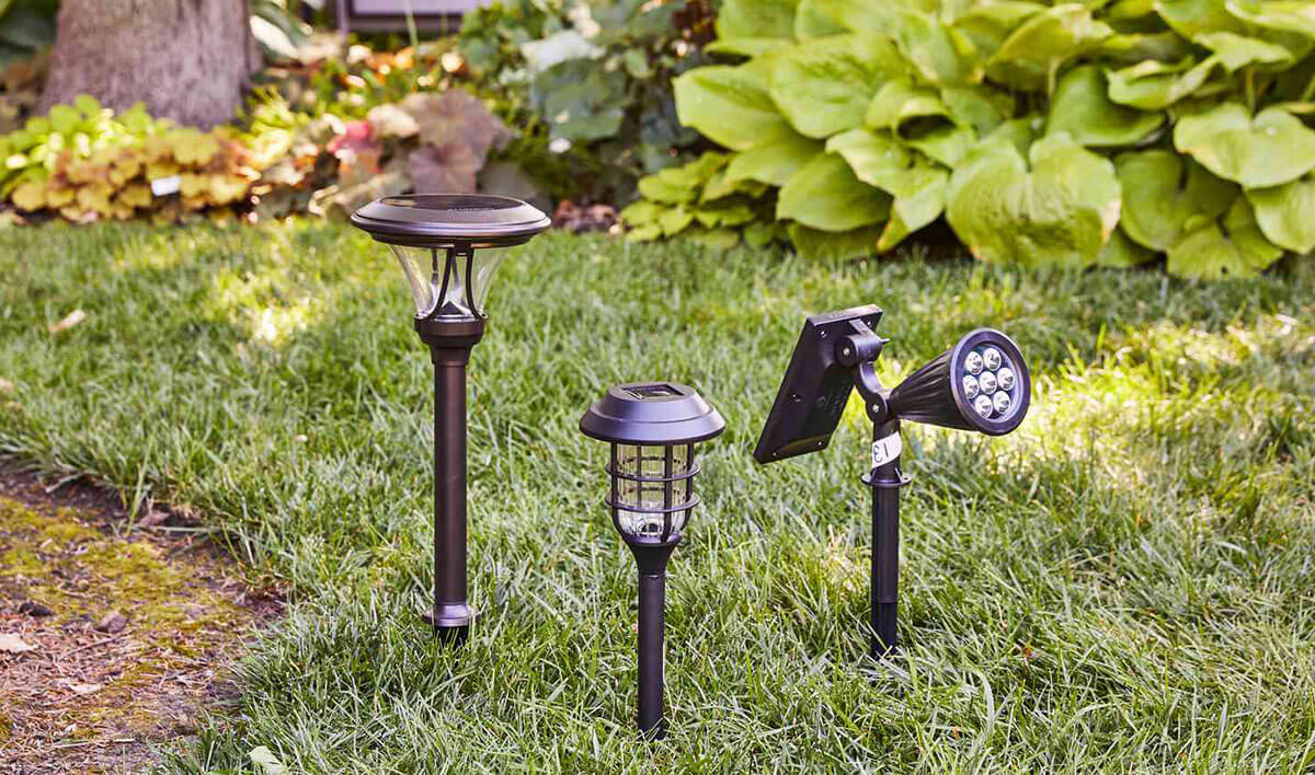 Best LED Landscape Lighting Ideas for 2024