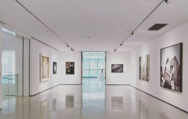 How to Choose Art Gallery Lighting: The Ultimate Guide