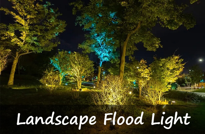 How to Choose Landscape Flood Light | Complete 2025 Guide