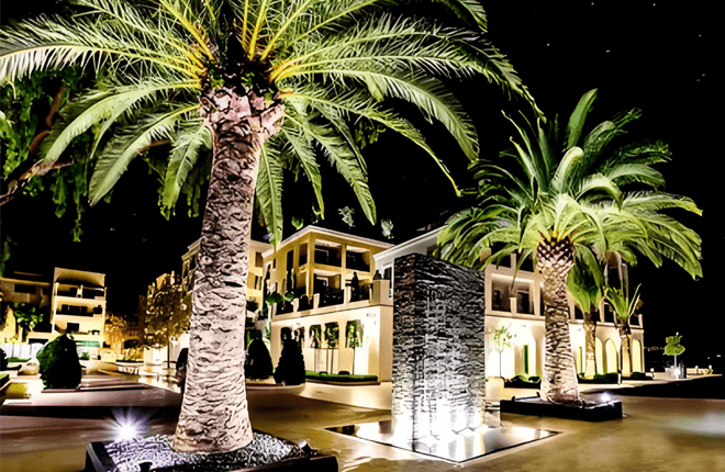 How to Light Up Palm Trees: A Complete Outdoor Guide